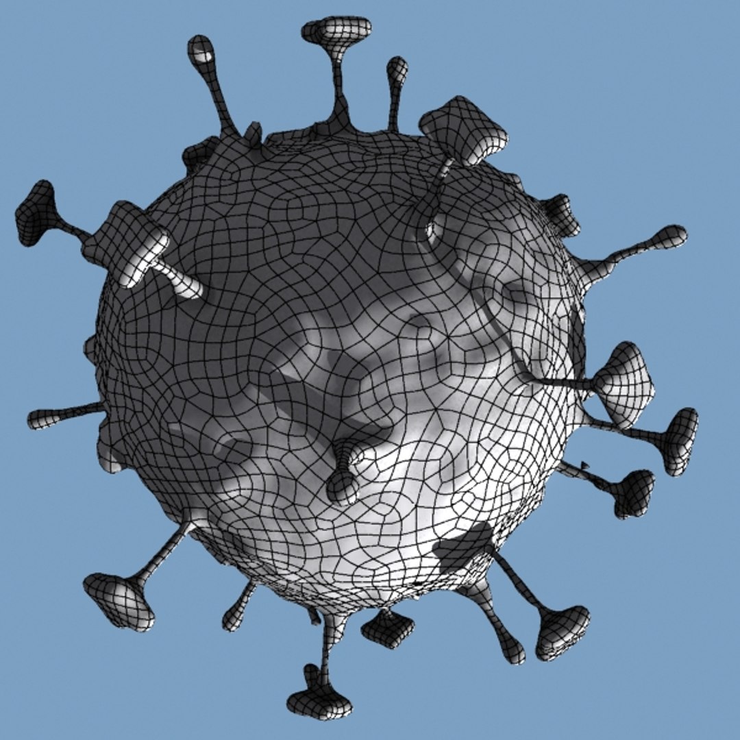 Nipah Virus 3d Model