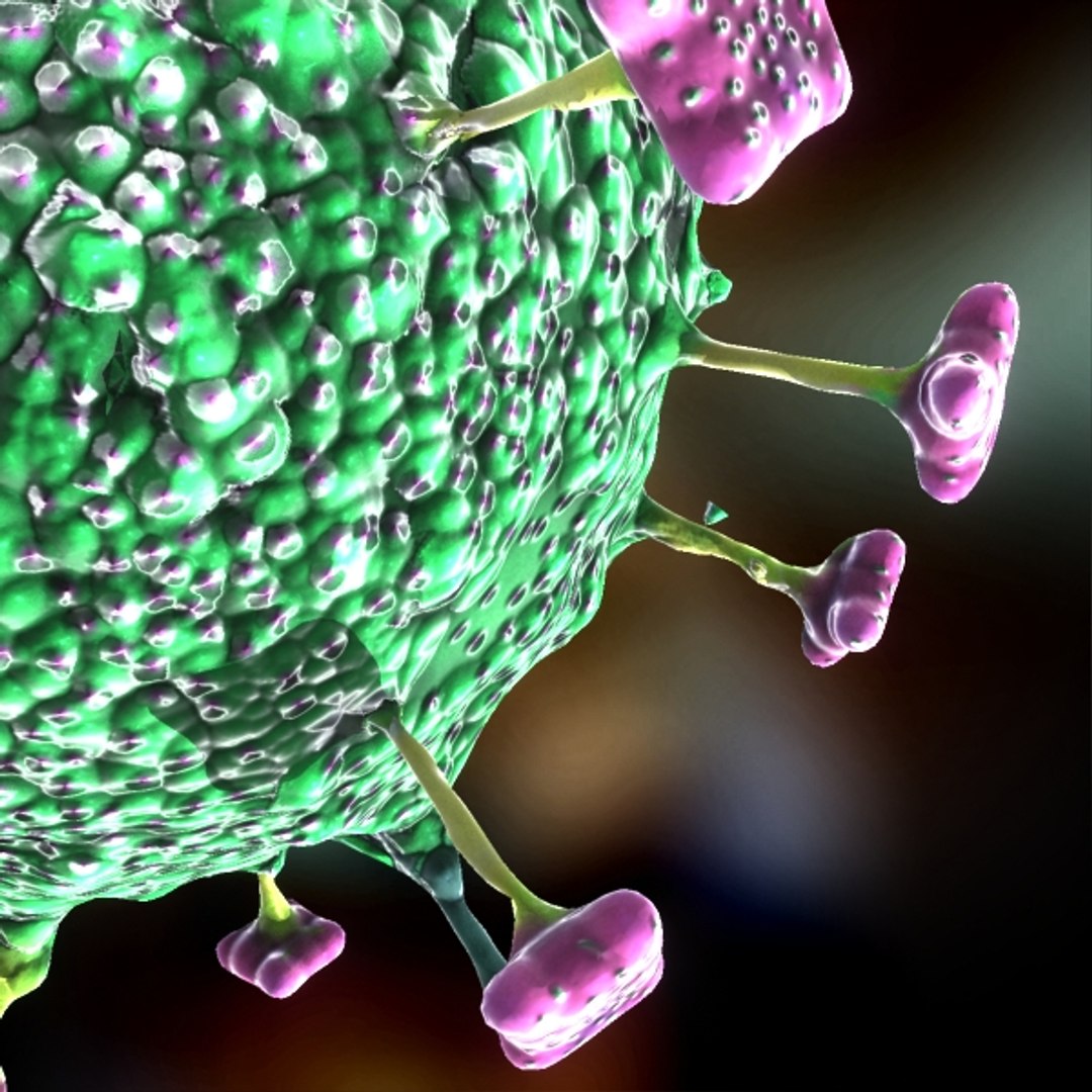 Nipah Virus 3d Model