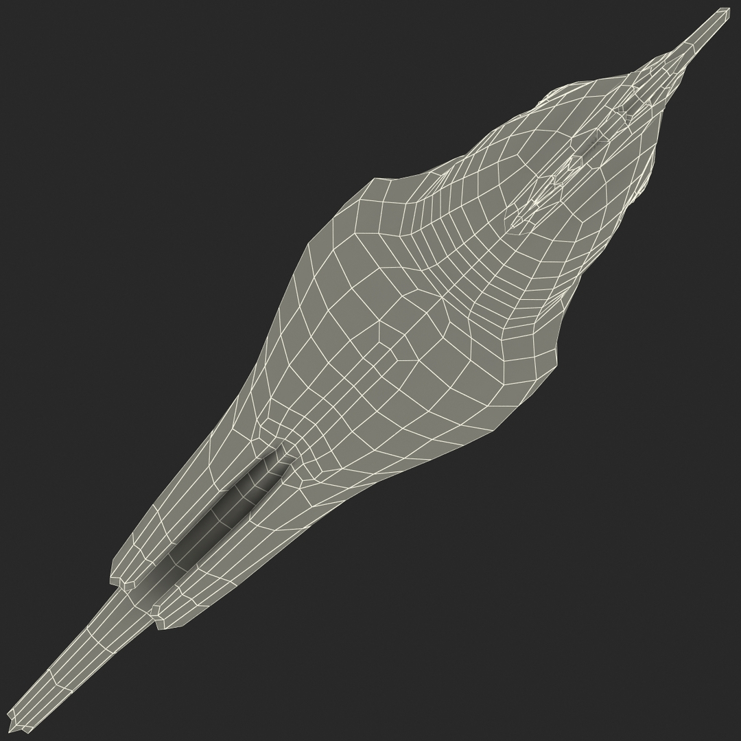 cockatiel bird parrot 3d obj