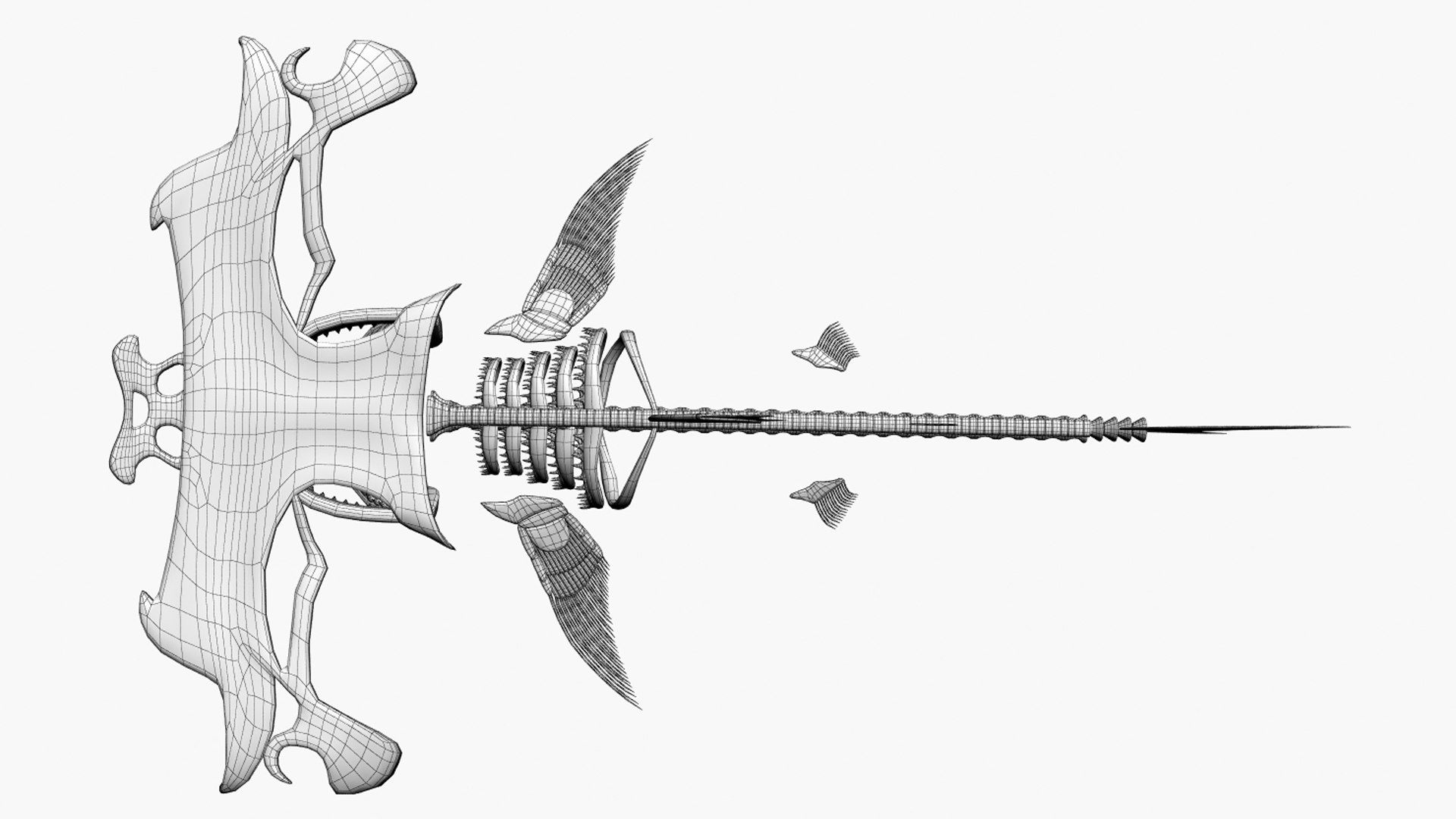 Hammerhead Skeleton Model - TurboSquid 1187777