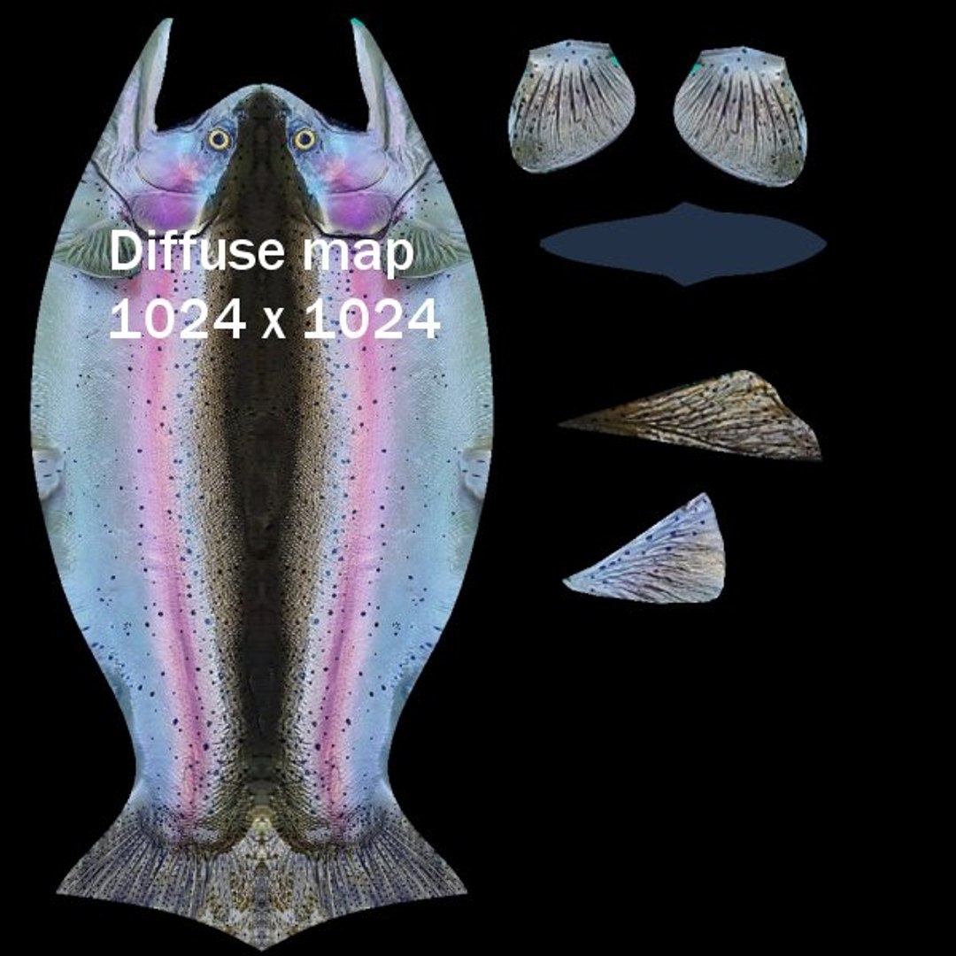 3d Rainbow Trout Fg Model