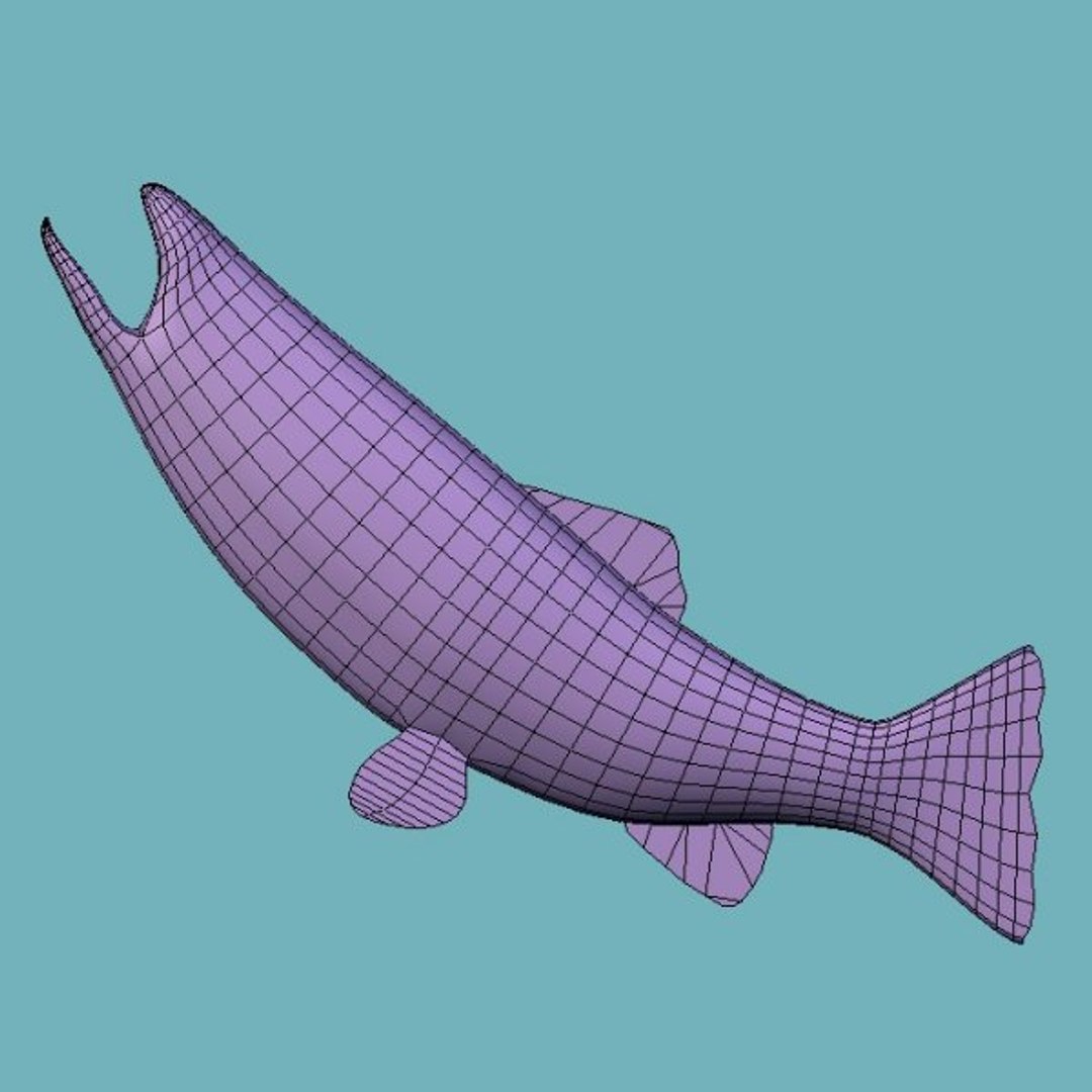 3d Rainbow Trout Fg Model