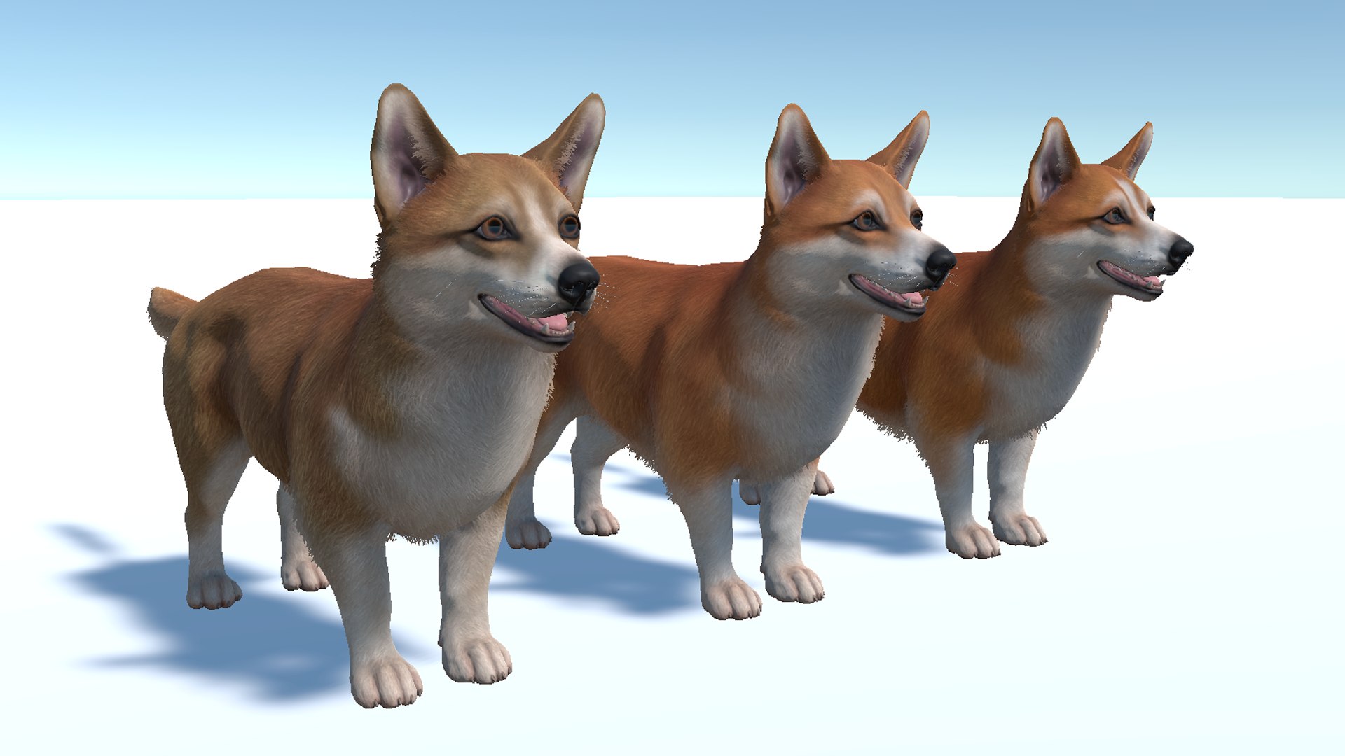 Dog - Corgi Model - TurboSquid 1933417