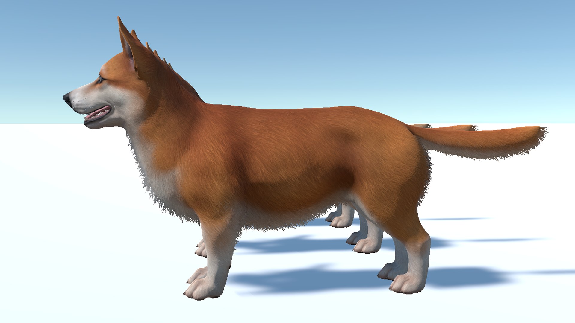 Dog - Corgi Model - TurboSquid 1933417