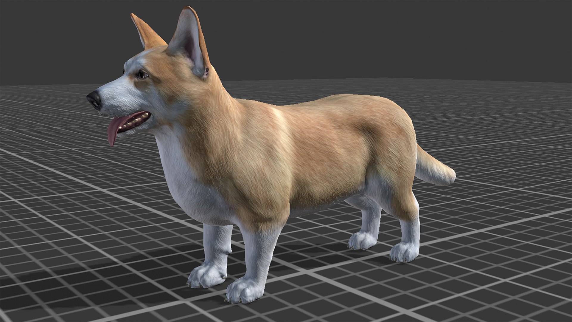 Dog - Corgi model - TurboSquid 1933417