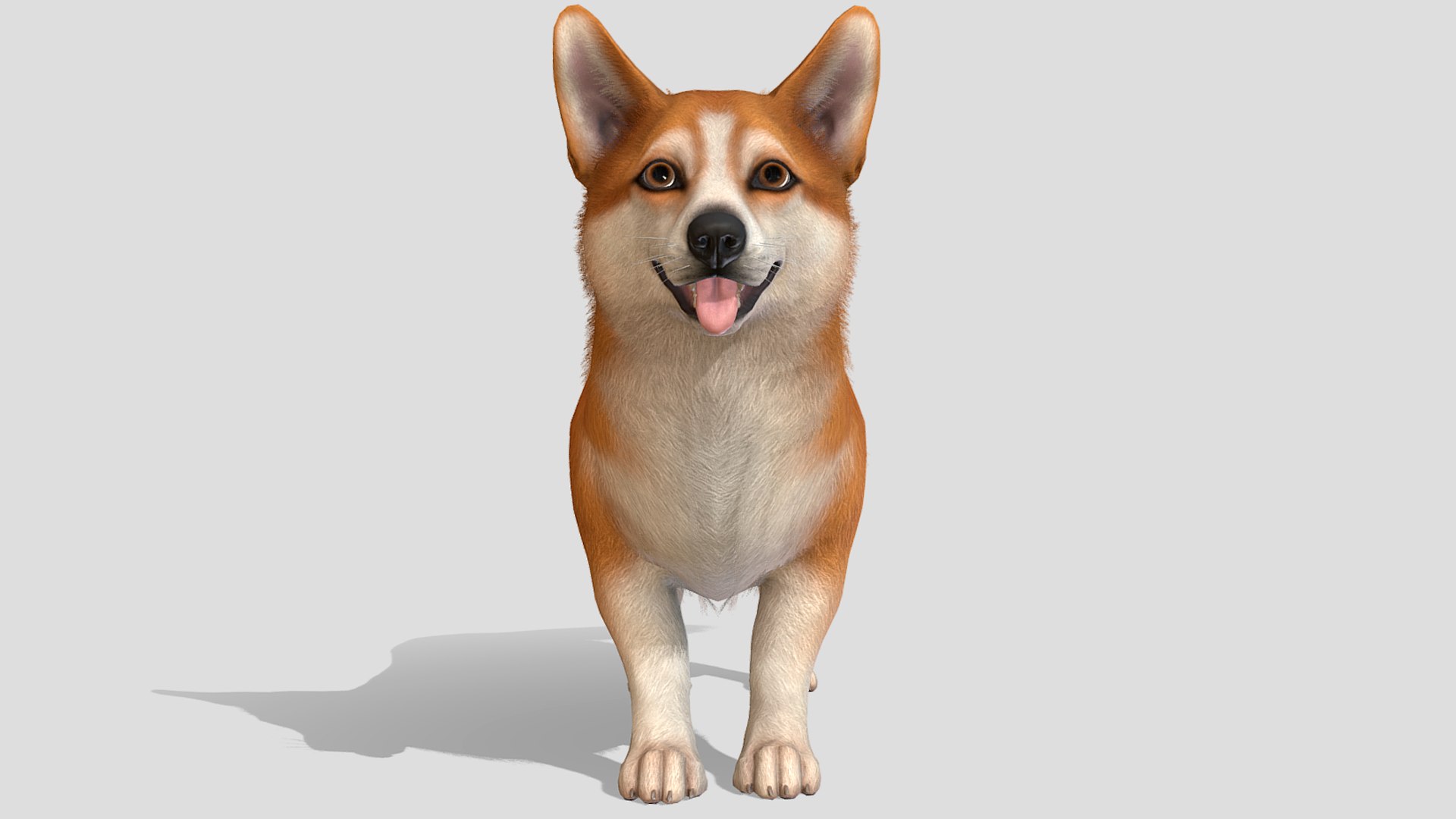 Dog - Corgi Model - TurboSquid 1933417