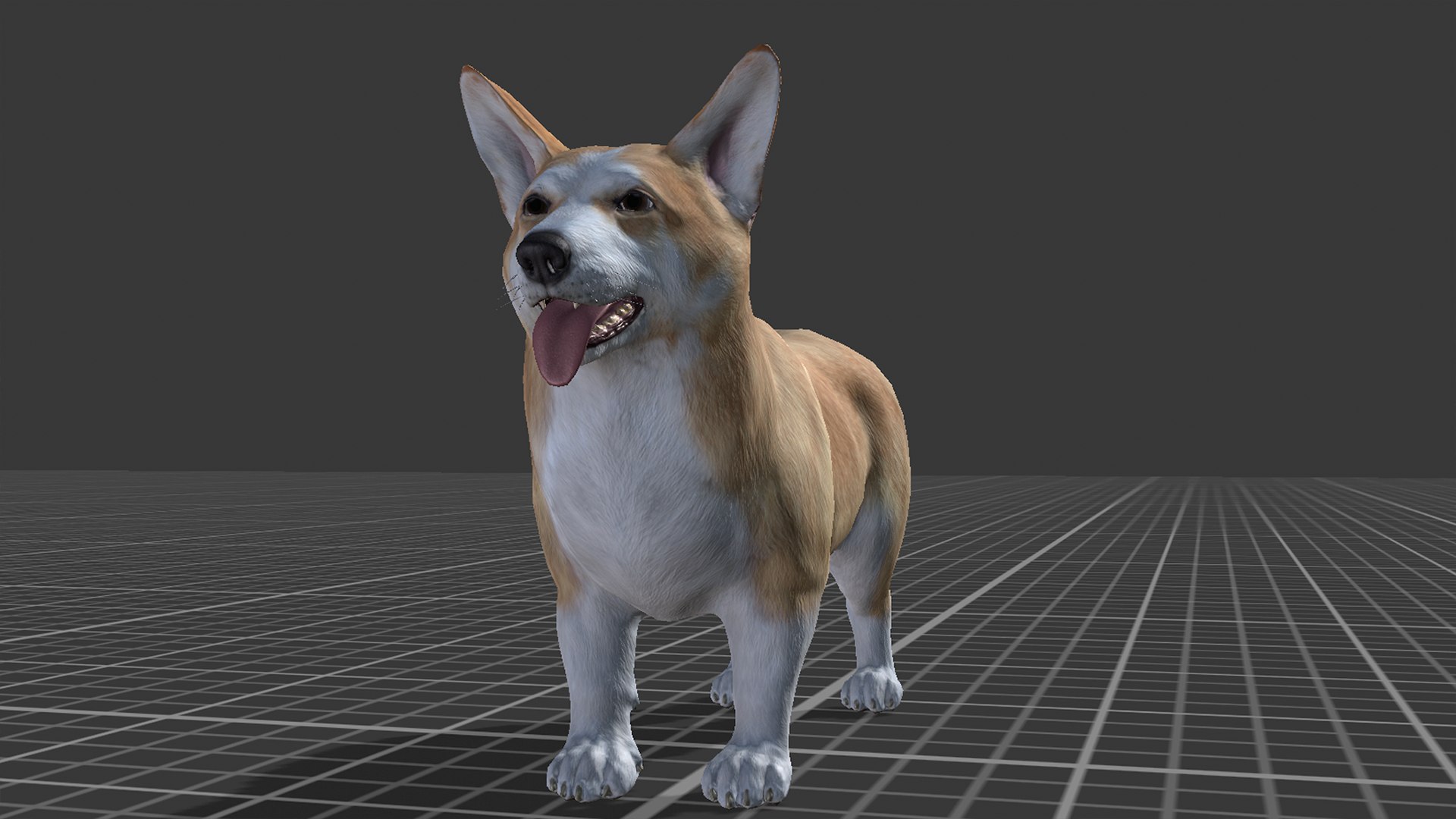 Dog - Corgi model - TurboSquid 1933417