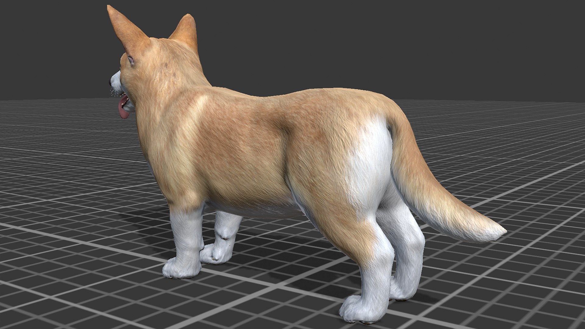 Dog - Corgi model - TurboSquid 1933417