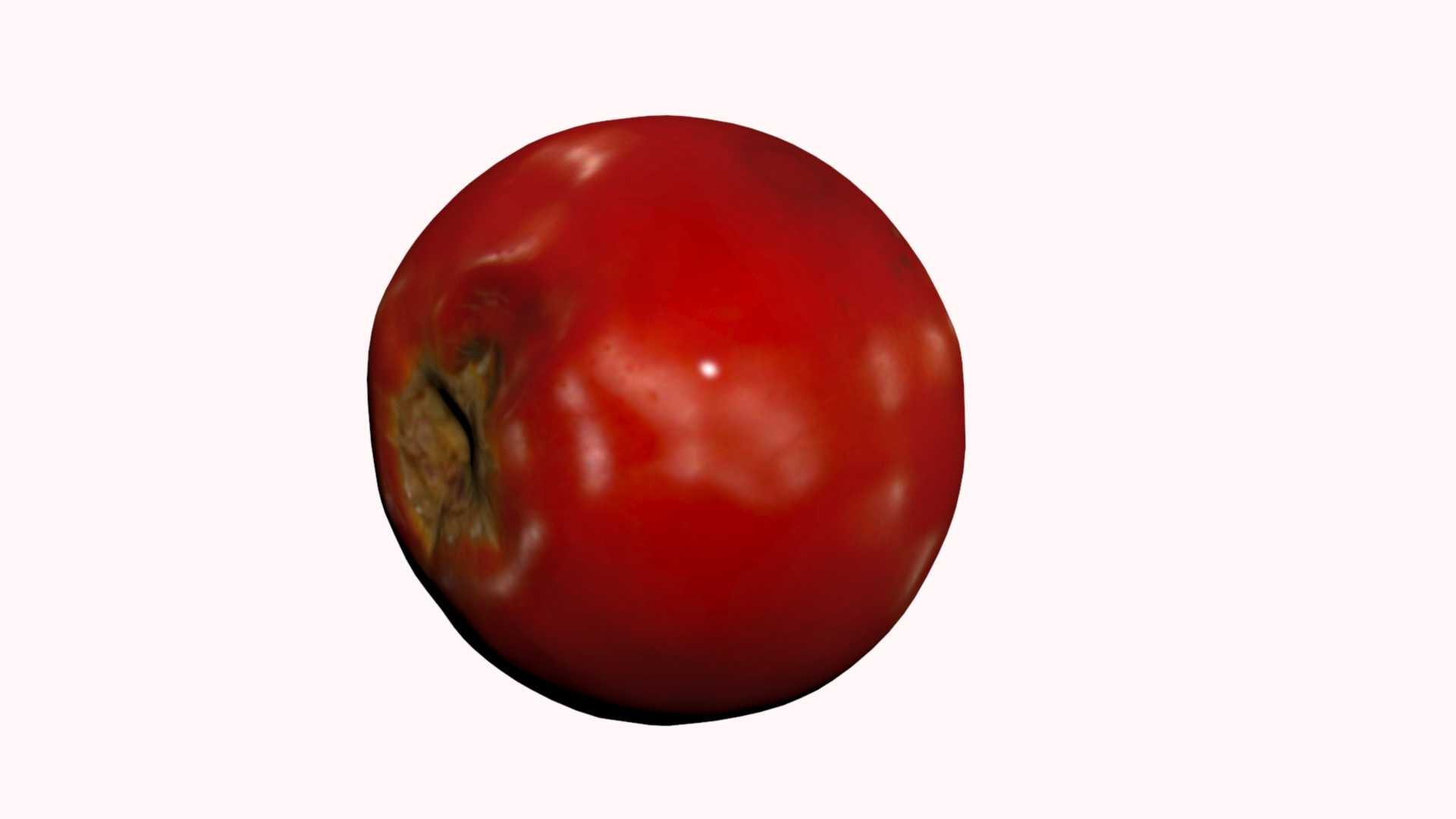 3D Model Tomato 3D Scan High Quality - TurboSquid 1747828