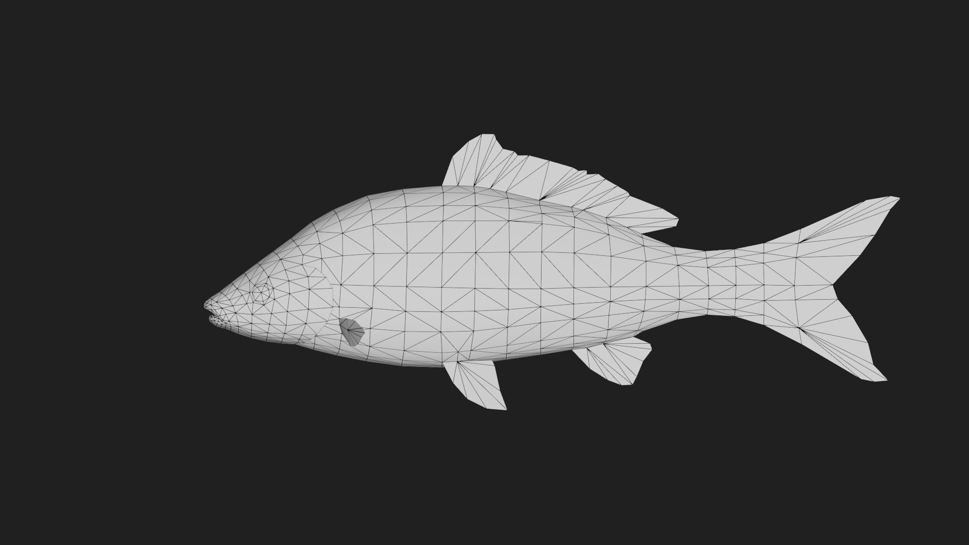 Carp 3D Model - TurboSquid 2125423