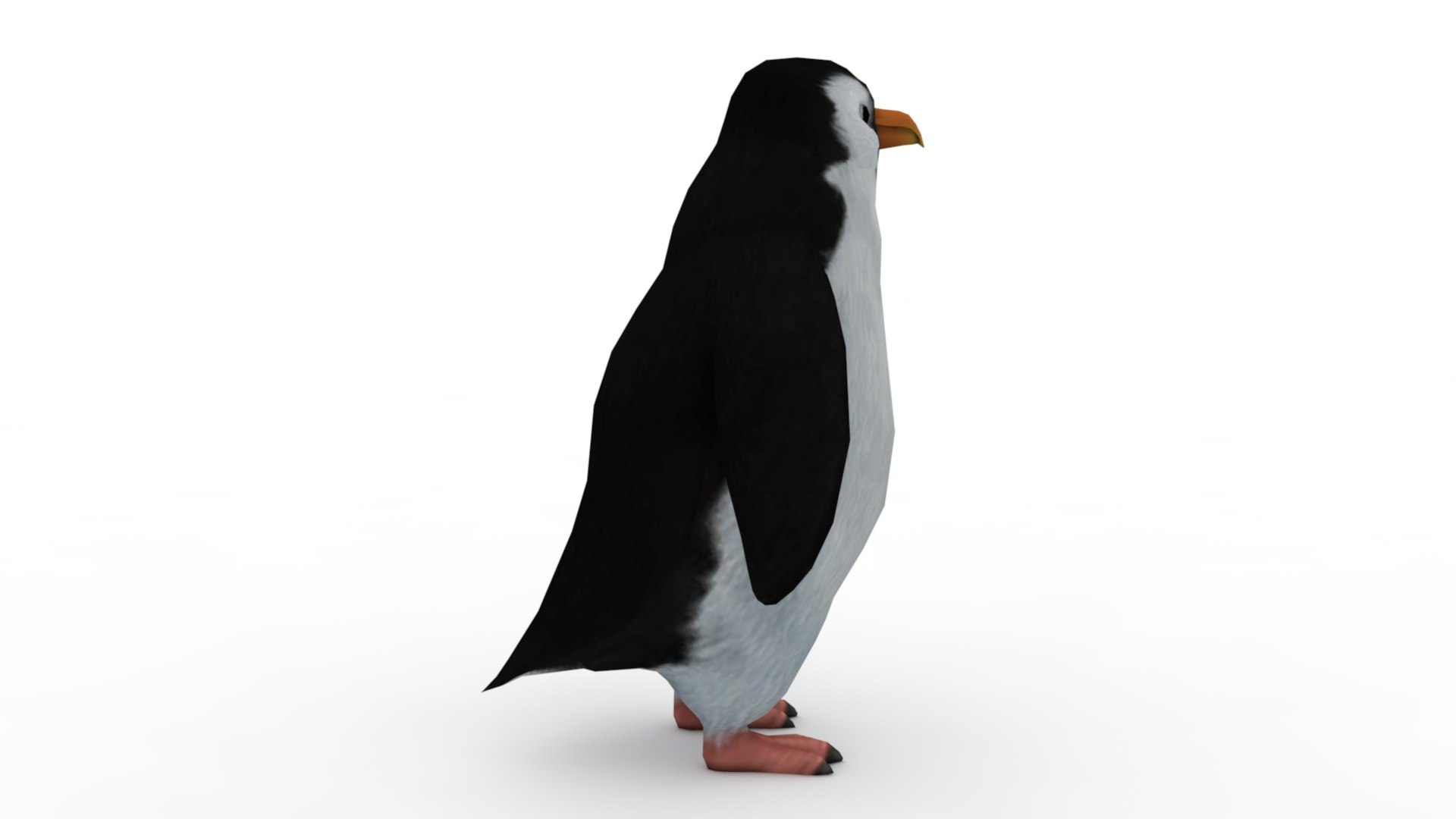 Penguin 3D Model - TurboSquid 1853515