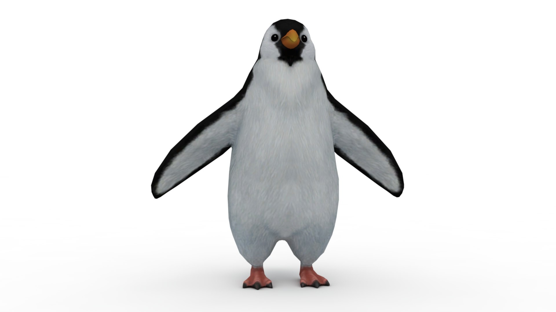 Penguin 3D Model - TurboSquid 1853515