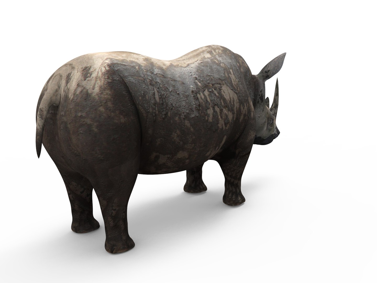 Dirty Rhino Rigged 3D Model - TurboSquid 1268962