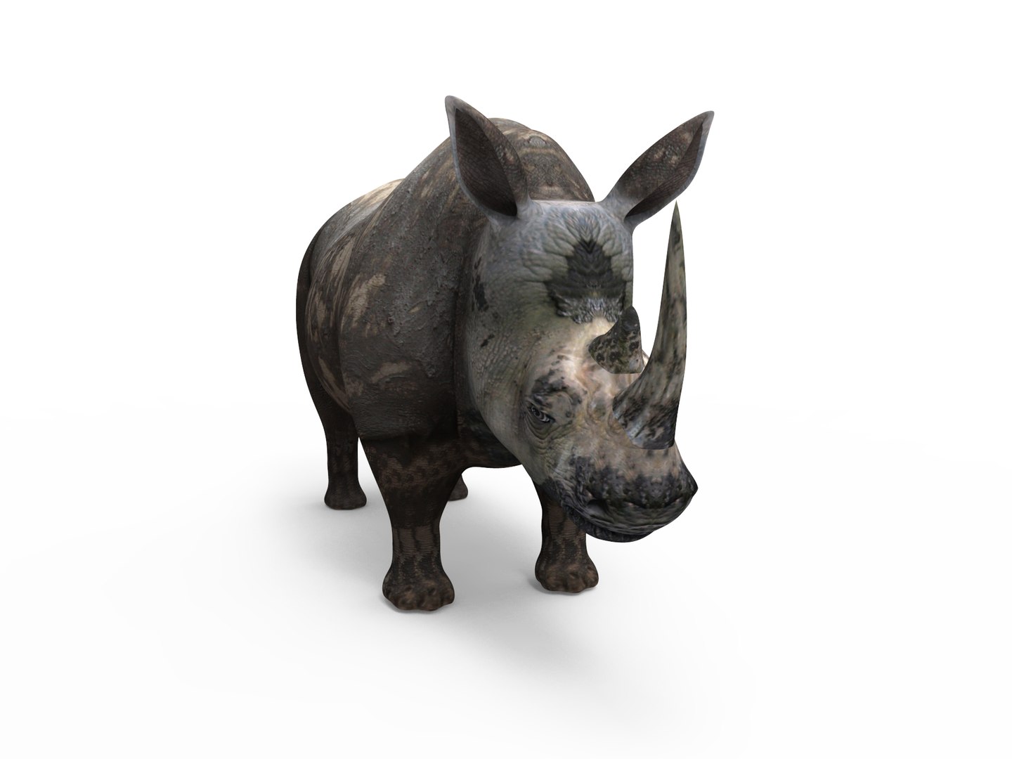 Dirty Rhino Rigged 3D Model - TurboSquid 1268962