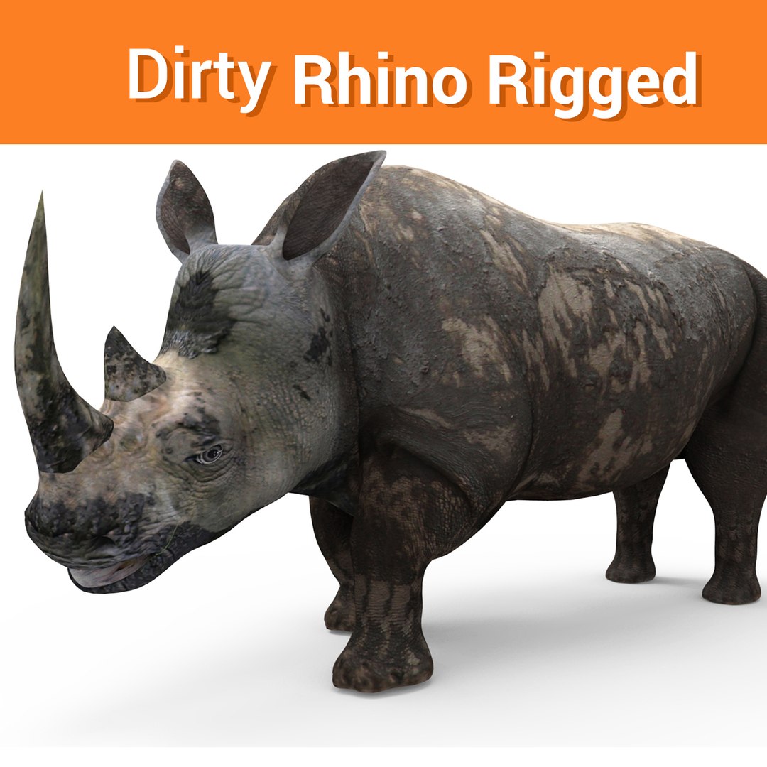 Dirty Rhino Rigged 3D Model - TurboSquid 1268962