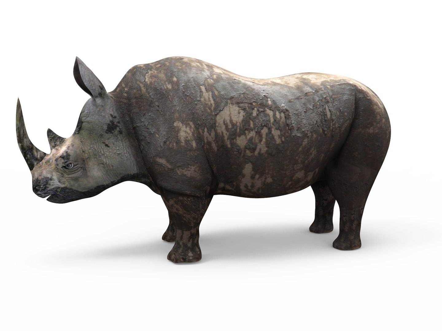 Dirty Rhino Rigged 3D Model - TurboSquid 1268962