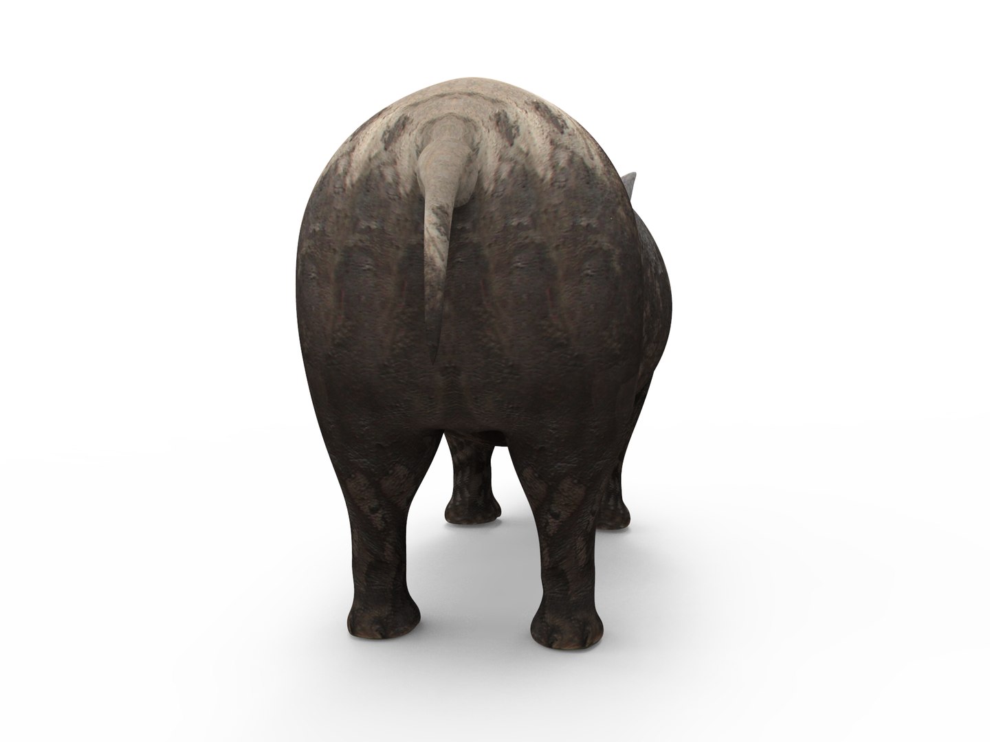 Dirty Rhino Rigged 3D Model - TurboSquid 1268962