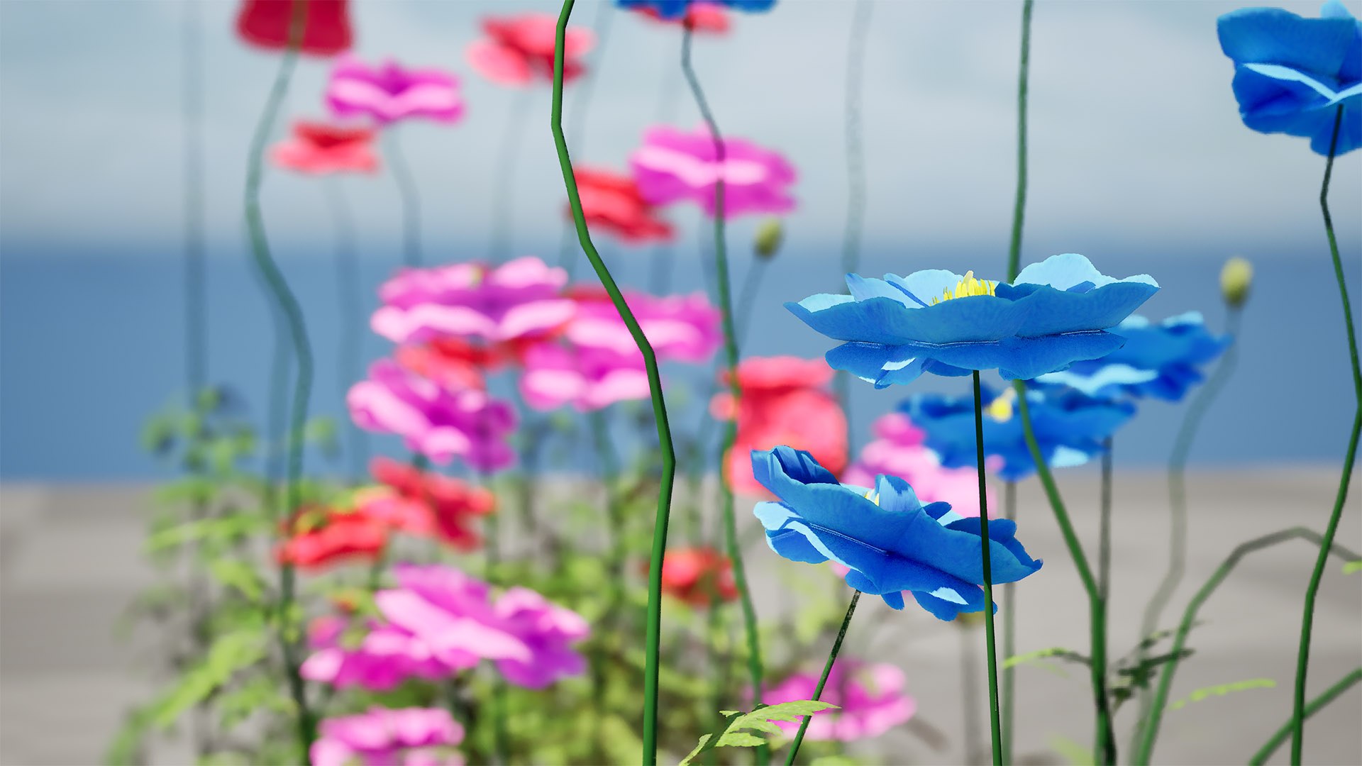 Realistic Flanders Poppy 3D Model Model - TurboSquid 2386968