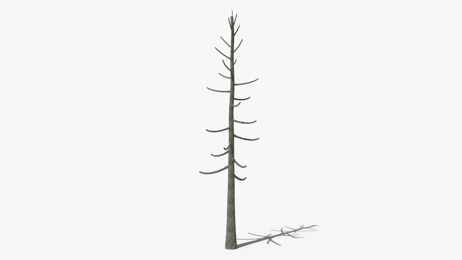 Dead Pine V1 3D Model - TurboSquid 2145251