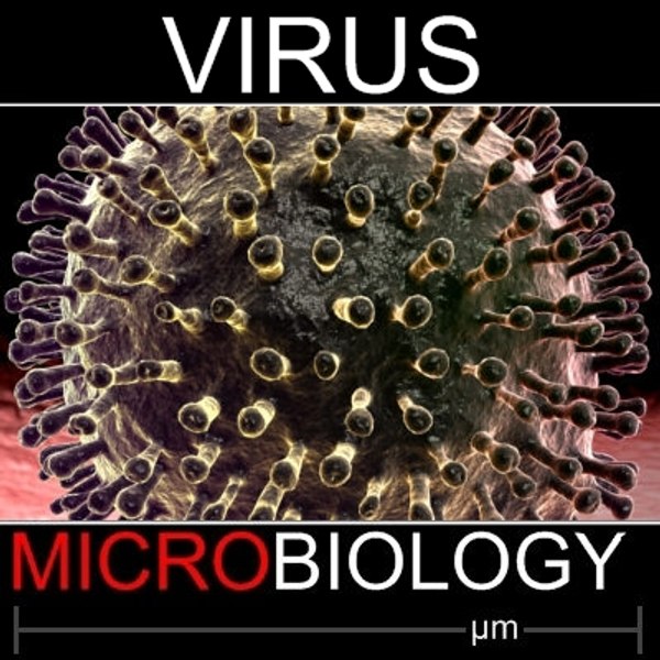 3d bubonic plague