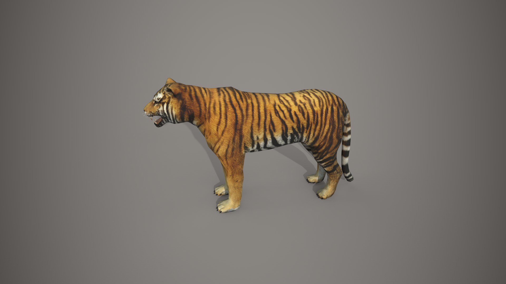 Bengali Tiger model - TurboSquid 2036199