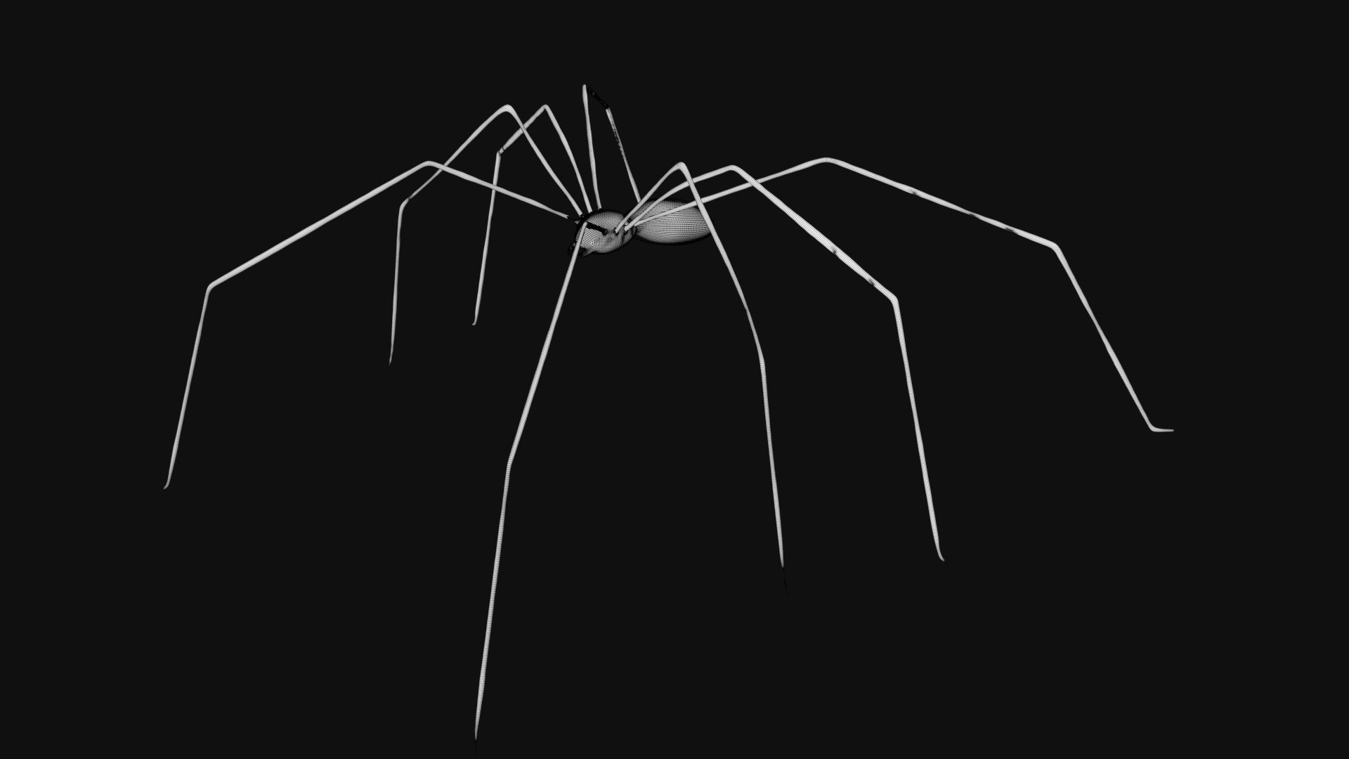 Fully Rigged Low Poly Spider 3D Model - TurboSquid 1756372