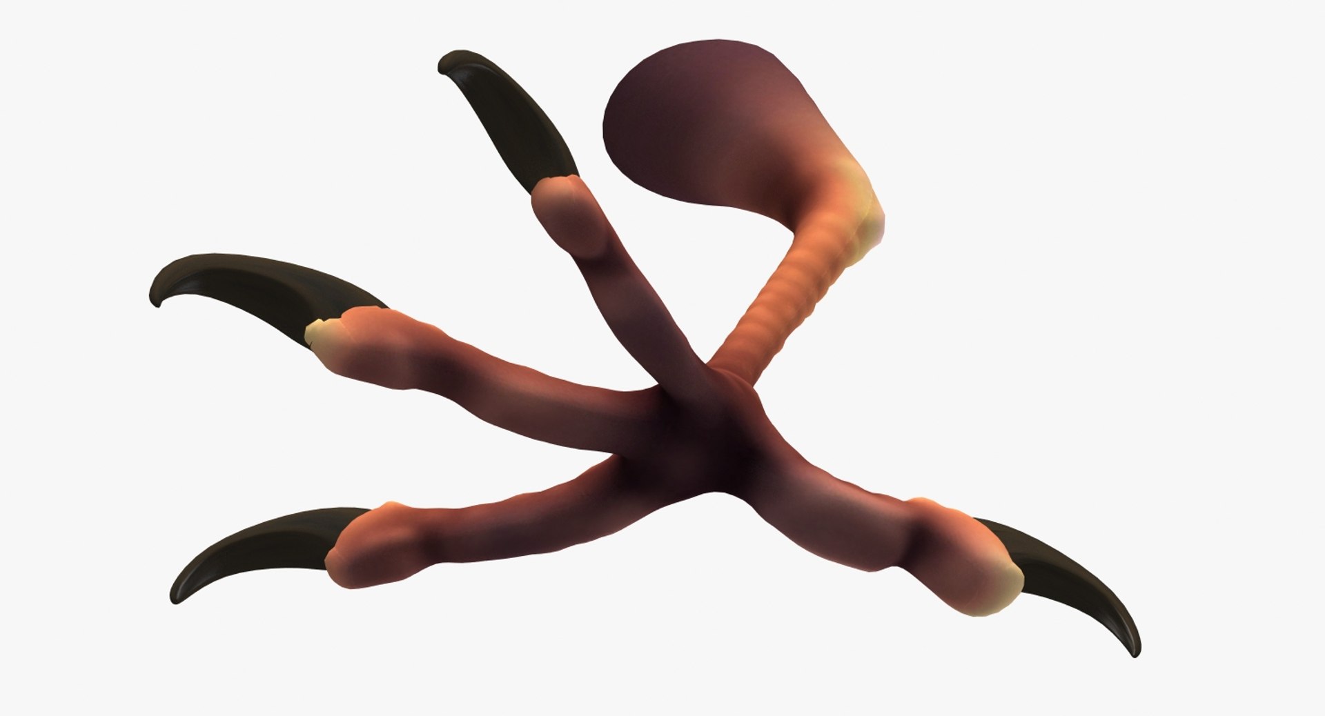 Bird Feet 3D Model - TurboSquid 1274467