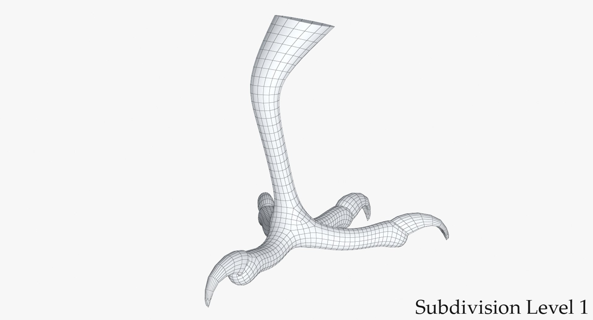 Bird Feet 3D Model - TurboSquid 1274467