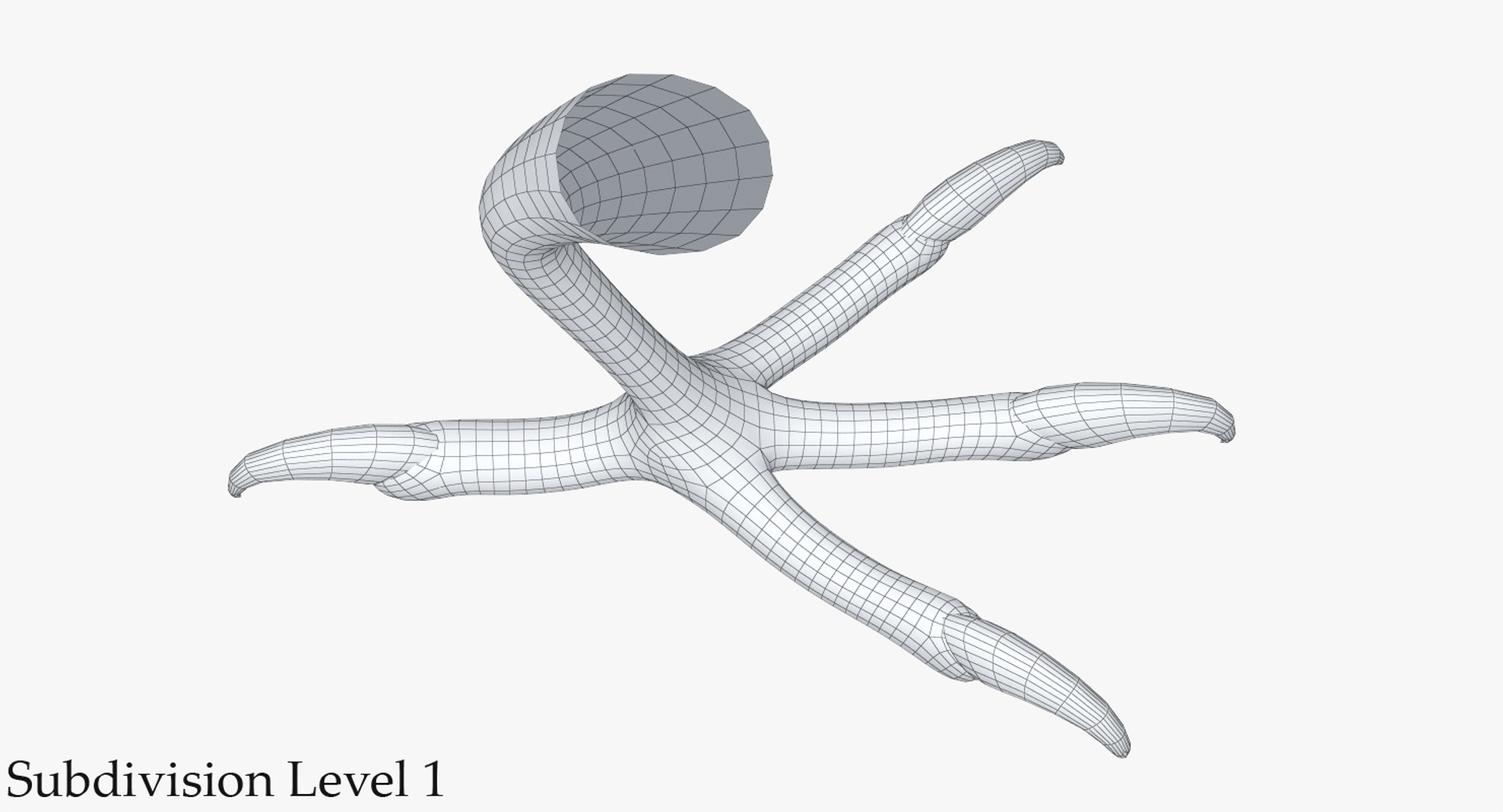 Bird Feet 3D Model - TurboSquid 1274467