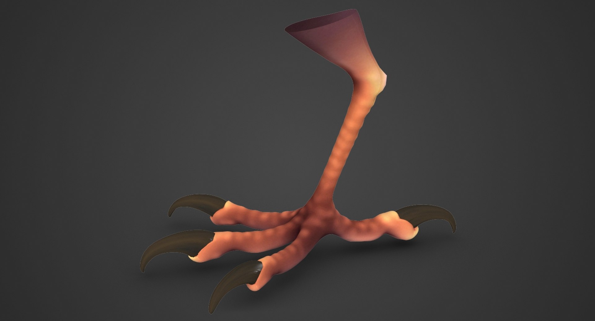 Bird Feet 3D Model - TurboSquid 1274467