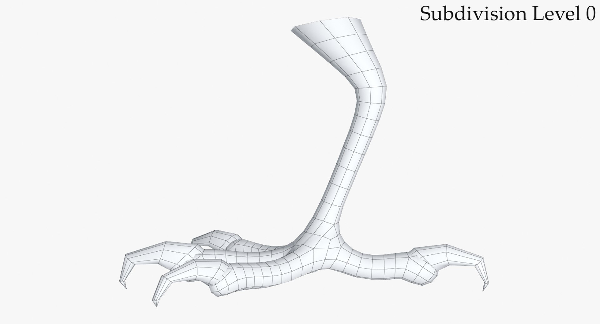 Bird Feet 3D Model - TurboSquid 1274467