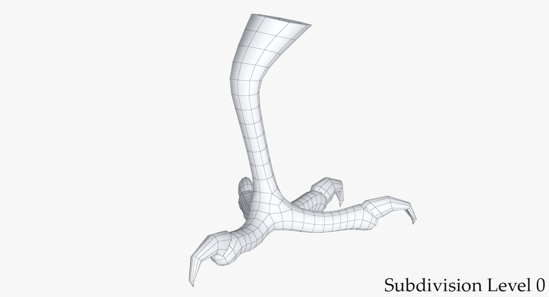 Bird Feet 3D Model - TurboSquid 1274467