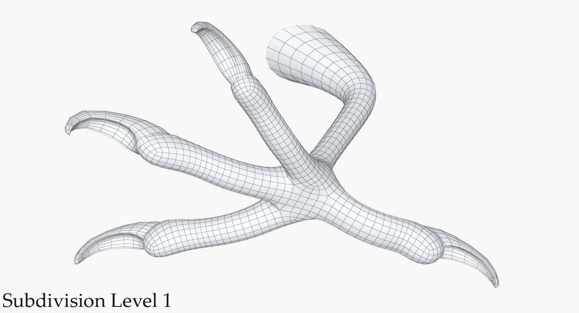 Bird Feet 3D Model - TurboSquid 1274467