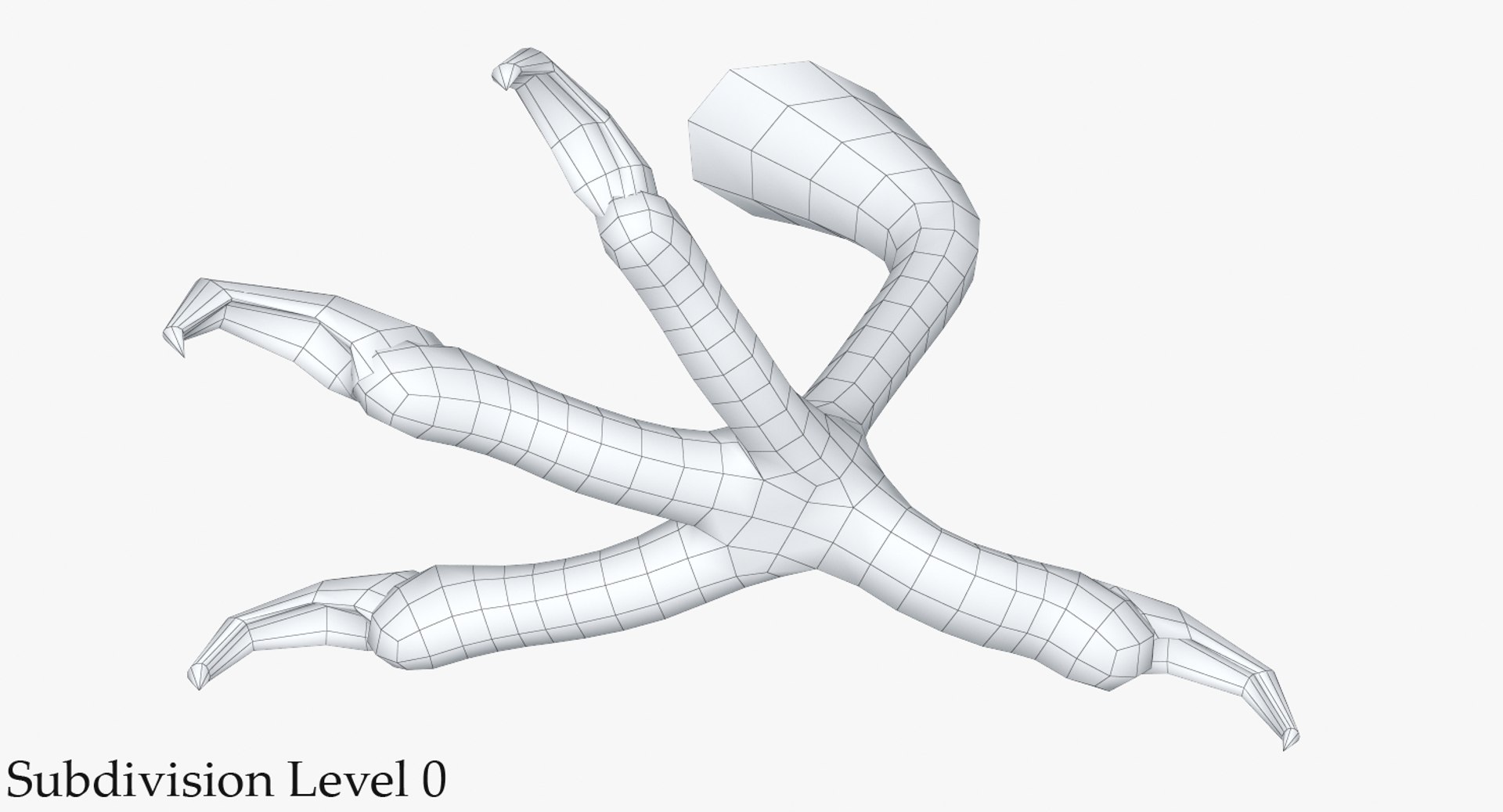 Bird Feet 3D Model - TurboSquid 1274467