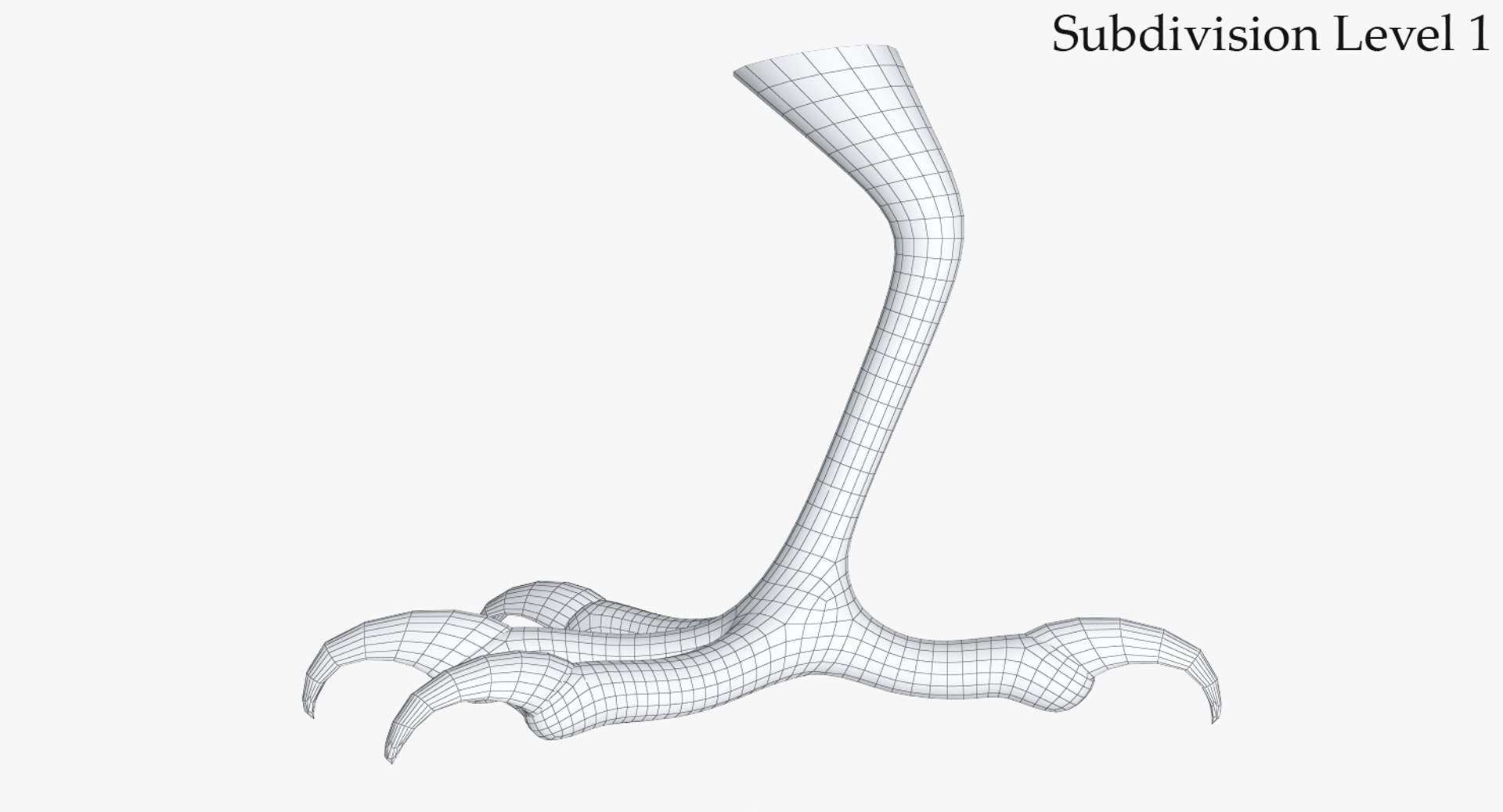 Bird Feet 3D Model - TurboSquid 1274467