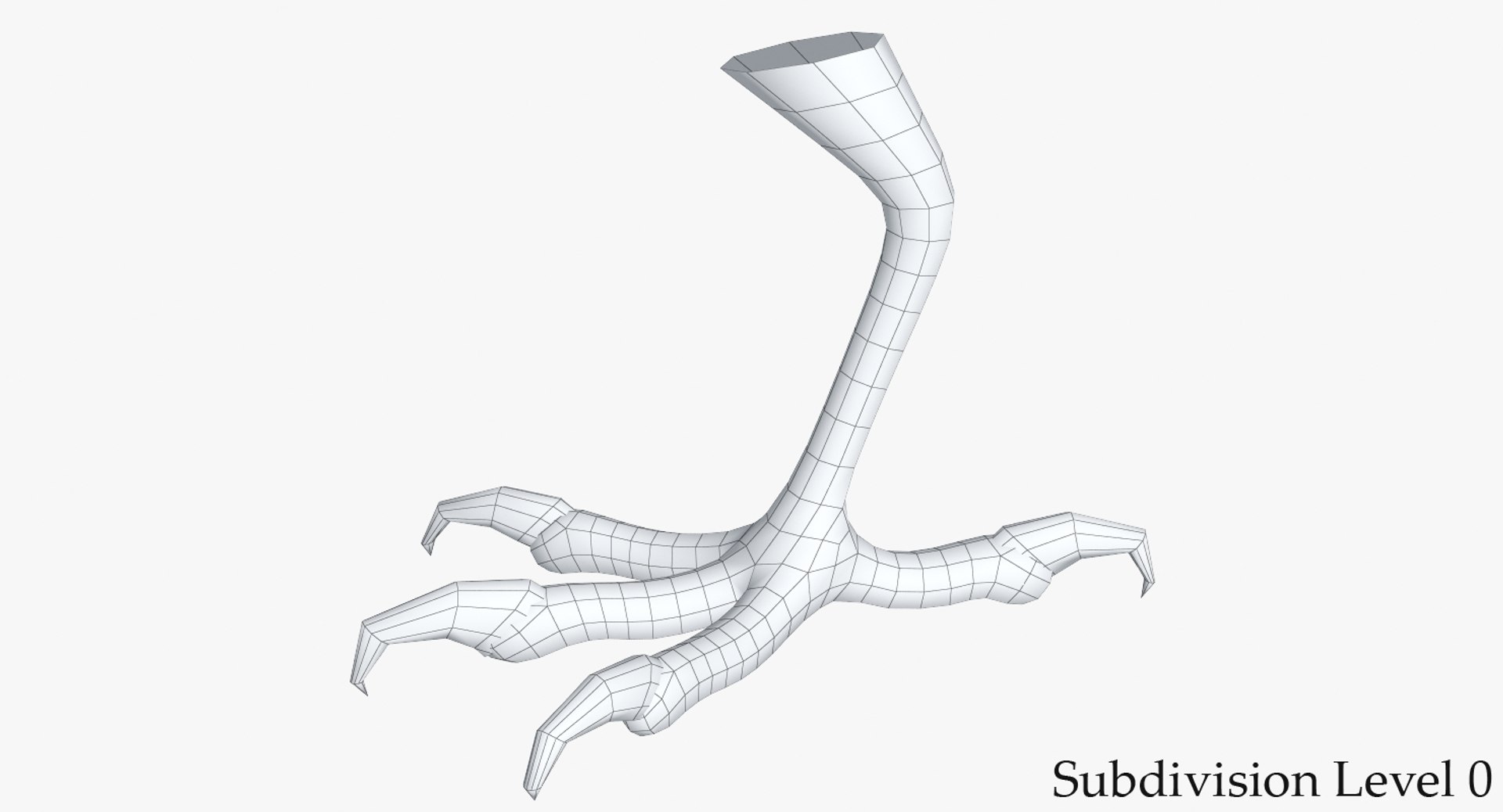 Bird Feet 3D Model - TurboSquid 1274467