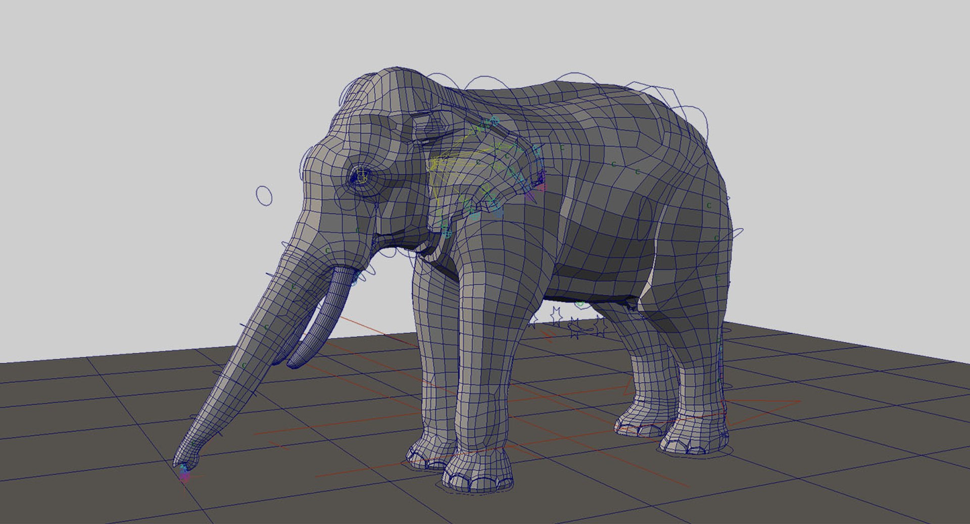 Indian Elephant 3D Model - TurboSquid 1440704