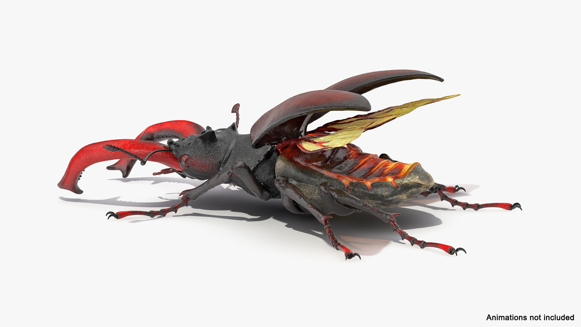 Lucanus Cervus Stag Beetle 3D - TurboSquid 1533748