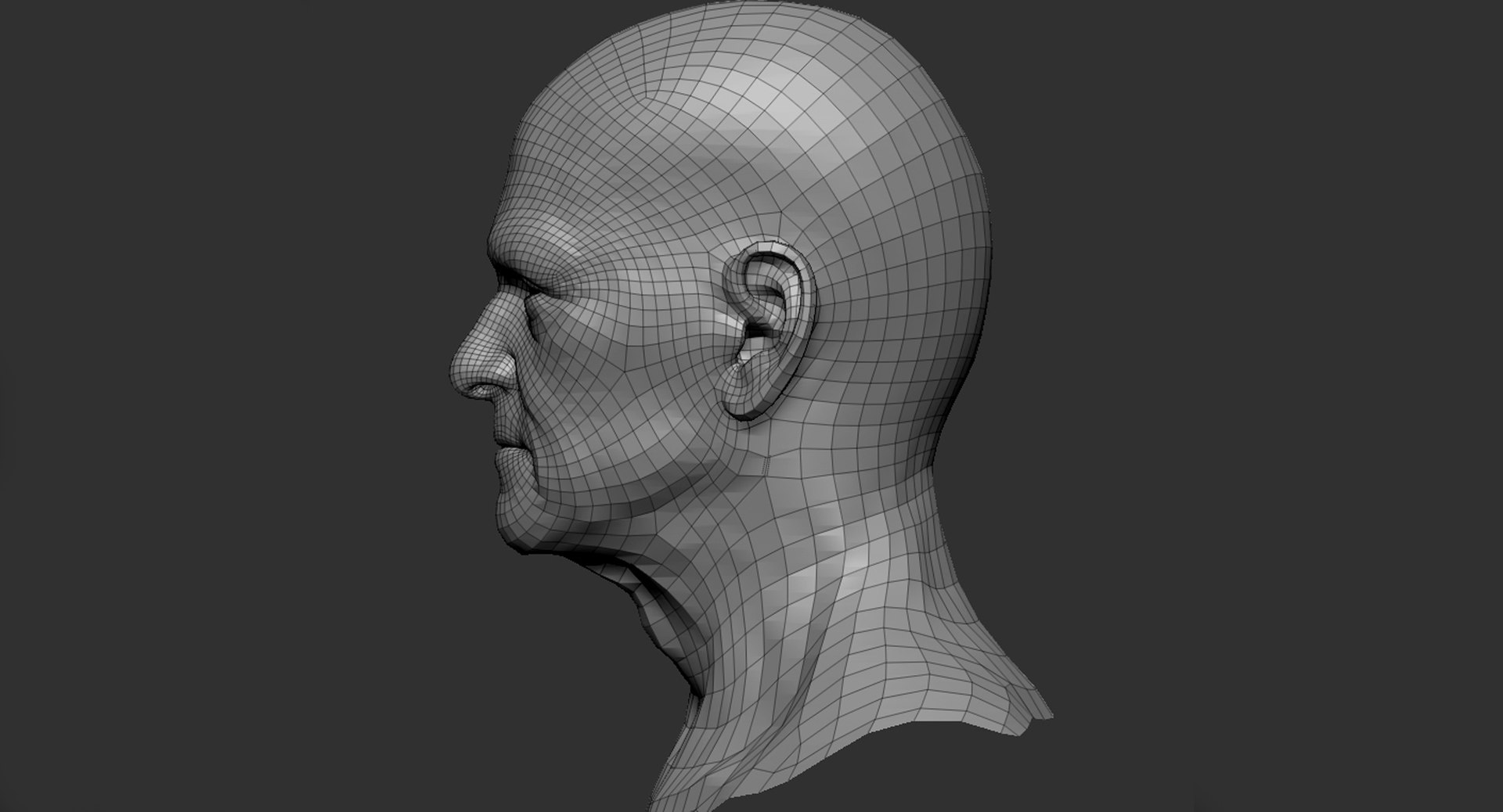 3d Model Of Male Character Face