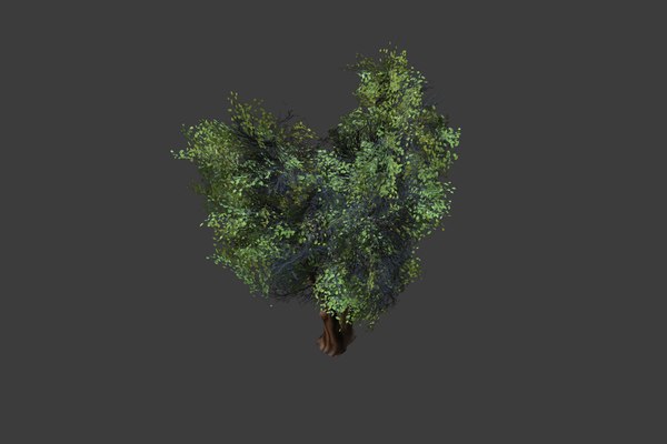 3D planes tree model - TurboSquid 1648988
