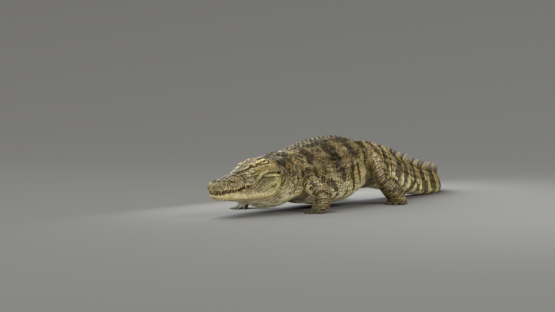 3D Crocodile ANIMATED - TurboSquid 2339472