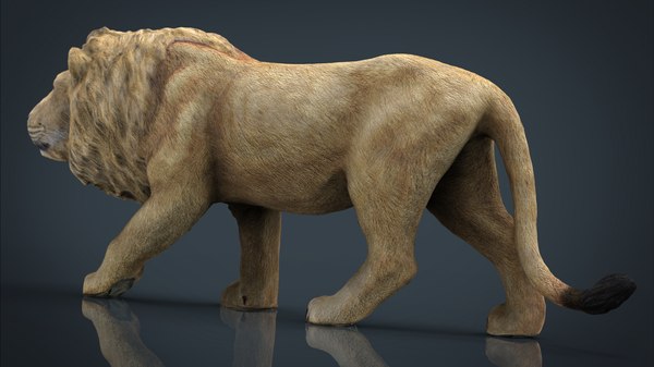3D hd realistic lion - TurboSquid 1167830