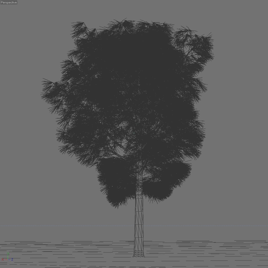 plane tree 3d model