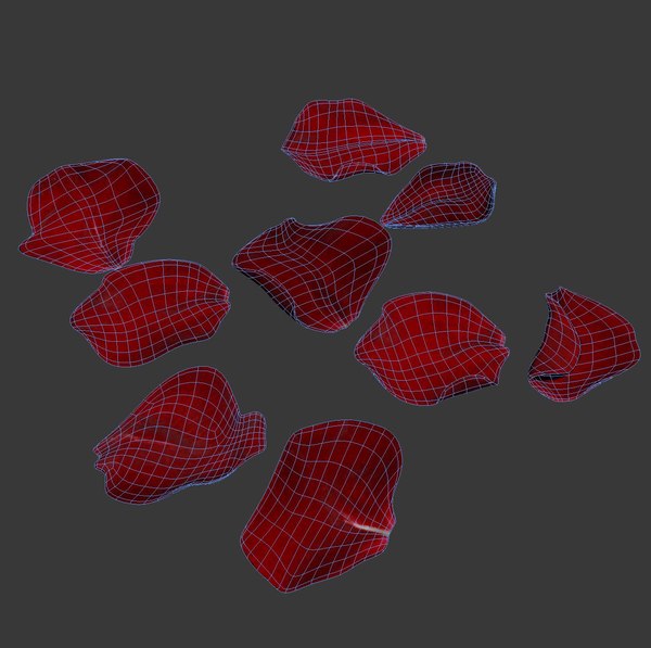 3d model rose petals