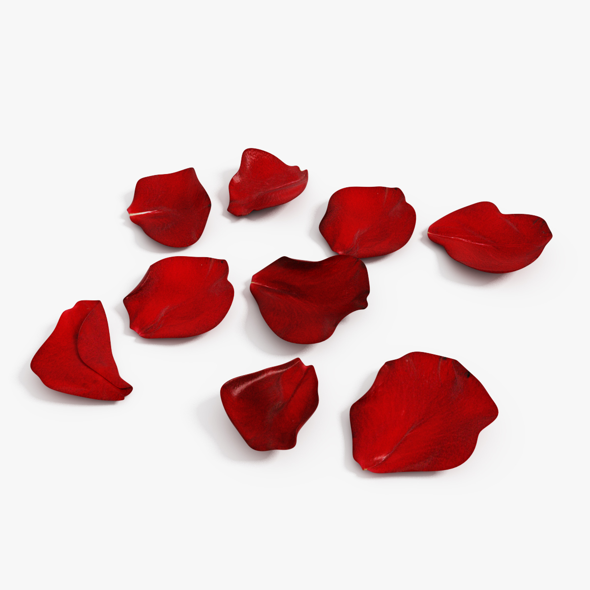 3d model rose petals
