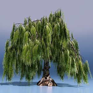 Tree DXF Models for Download | TurboSquid