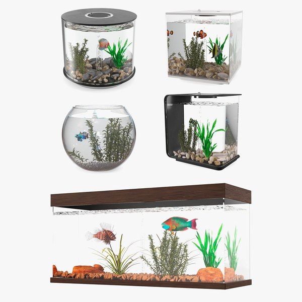 3D Aquarium Models | TurboSquid
