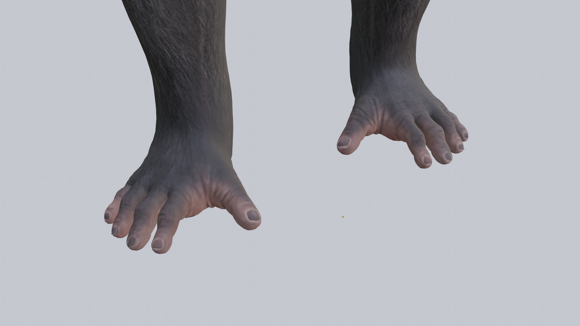 Monkey 3D Model - TurboSquid 2013215