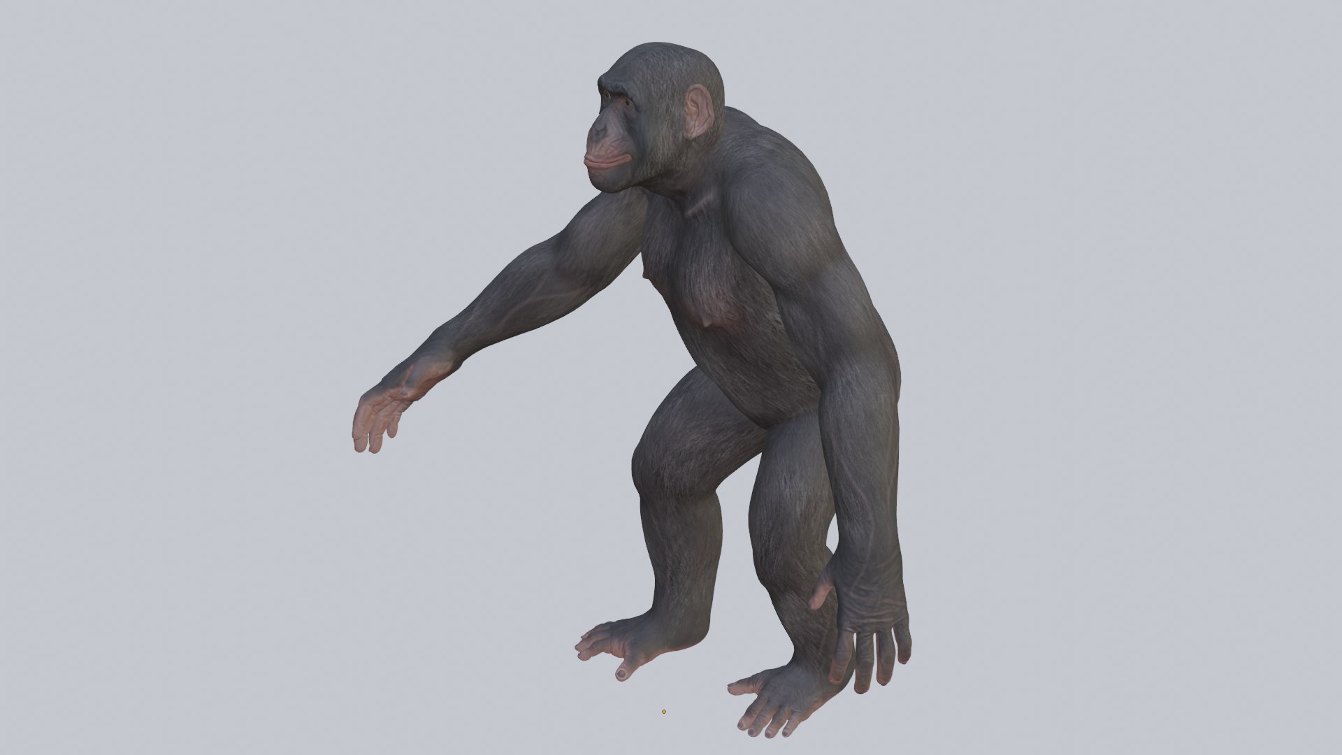 Monkey 3D Model - TurboSquid 2013215