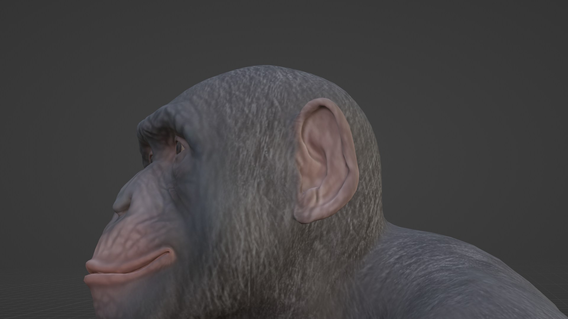 Monkey 3D Model - TurboSquid 2013215